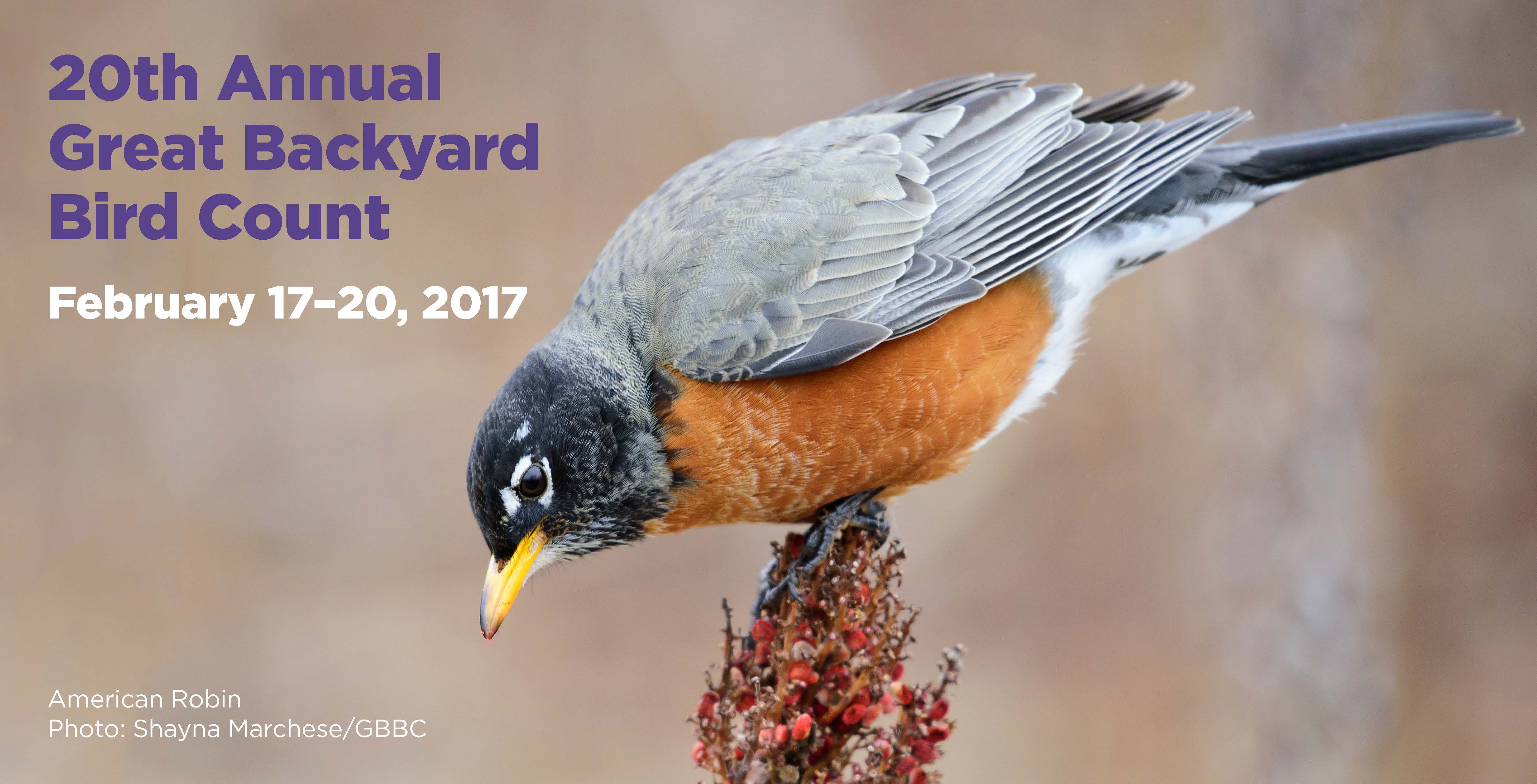 How YOU Can Help Scientists Help Birds